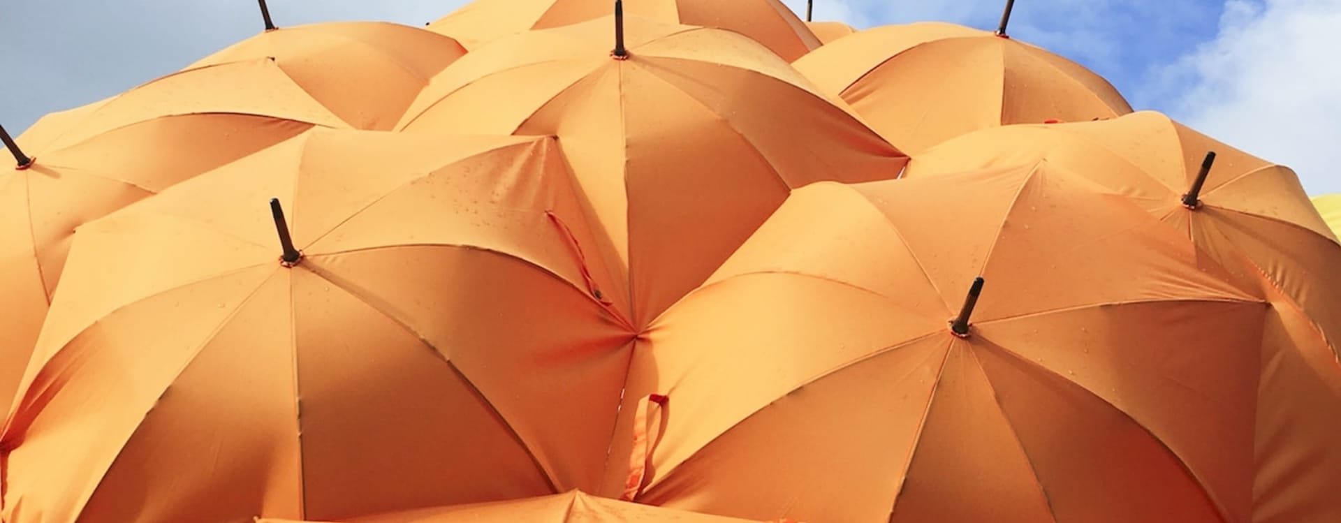 Contact Us | Guardian Security & Risk Management Services